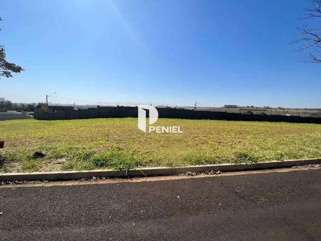 Terreno / Lote para Venda em Ribeirão Preto/SP Bonfim Paulista