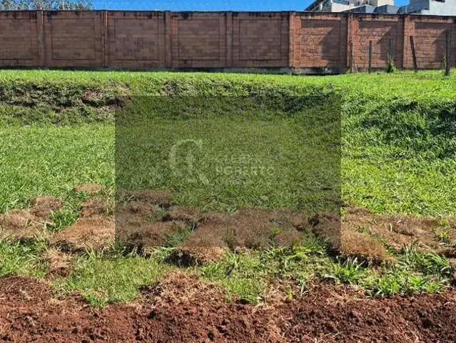 Terreno / Lote para Venda em Ribeirão Preto/SP Bonfim Paulista
