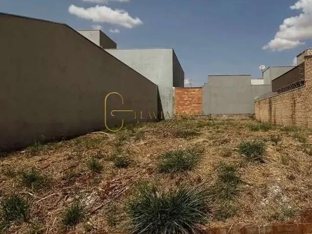 Terreno / Lote para Venda em Ribeirão Preto/SP Bonfim Paulista
