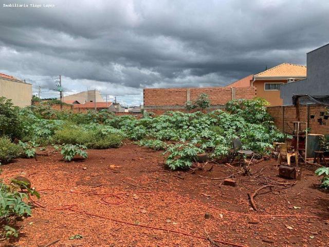 Terreno / Lote para Venda em Ribeirão Preto/SP Bonfim Paulista