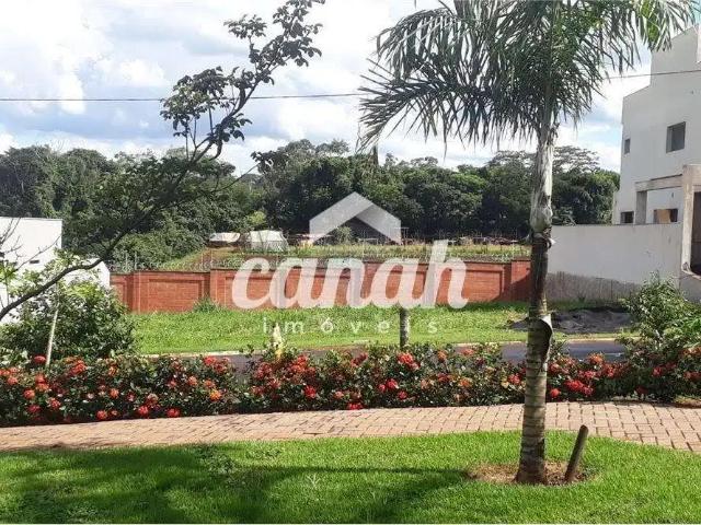 Terreno / Lote para Venda em Ribeirão Preto/SP Bonfim Paulista