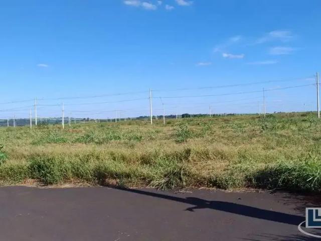 Terreno / Lote para Venda em Ribeirão Preto/SP Bonfim Paulista