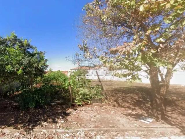 Terreno / Lote para Venda em Ribeirão Preto/SP Bonfim Paulista