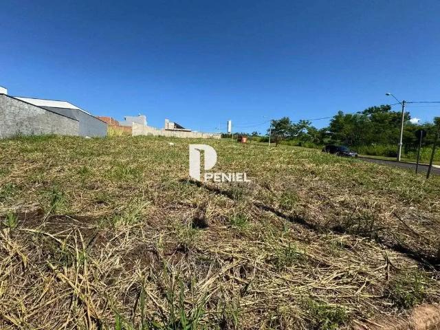 Terreno / Lote para Venda em Ribeirão Preto/SP Bonfim Paulista