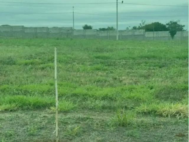 Terreno / Lote para Venda em Ribeirão Preto/SP Bonfim Paulista