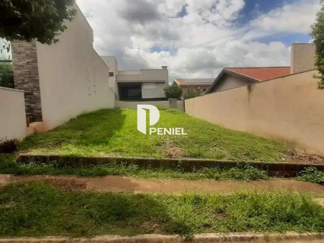 Terreno / Lote para Venda em Ribeirão Preto/SP Bonfim Paulista
