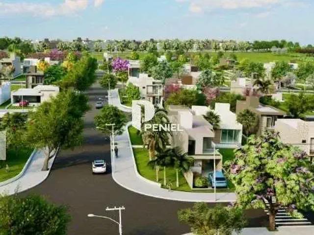 Terreno / Lote para Venda em Ribeirão Preto/SP Bonfim Paulista