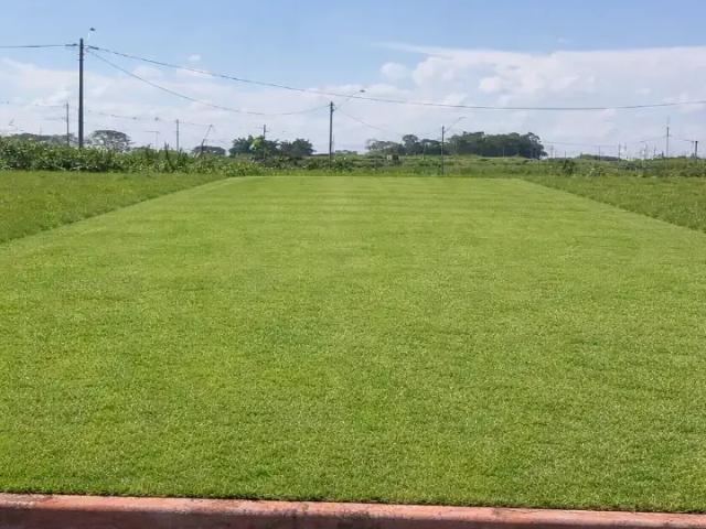 Terreno / Lote para Venda em Ribeirão Preto/SP Bonfim Paulista