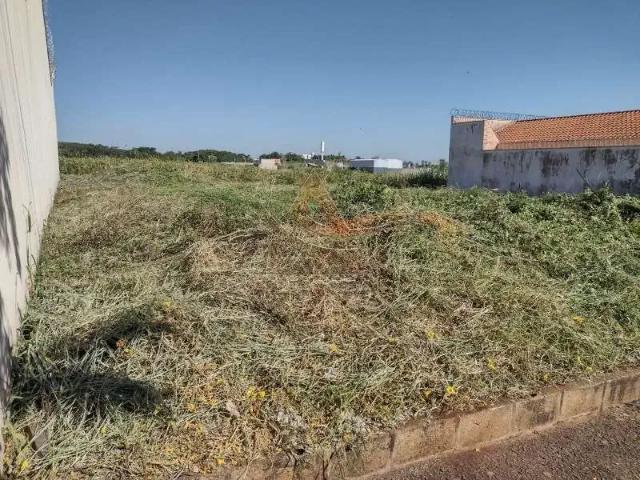 Terreno / Lote para Venda em Ribeirão Preto/SP Bonfim Paulista