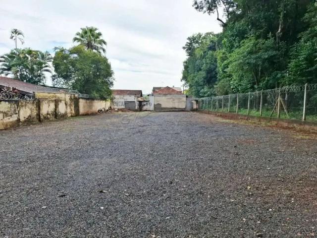 Terreno / Lote para Venda em Ribeirão Preto/SP Campos Elíseos