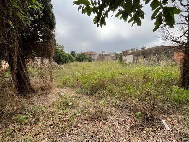 Terreno / Lote para Venda em Ribeirão Preto/SP Centro