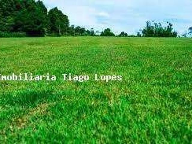 Terreno / Lote para Venda em Ribeirão Preto/SP Centro