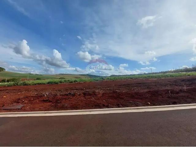 Terreno / Lote para Venda em Ribeirão Preto/SP Centro
