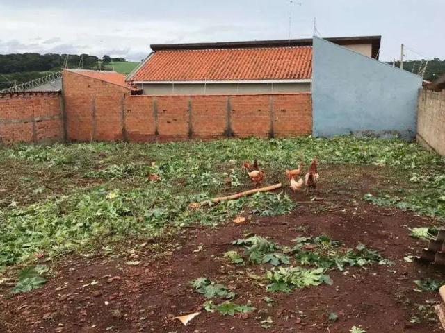 Terreno / Lote para Venda em Ribeirão Preto/SP Centro