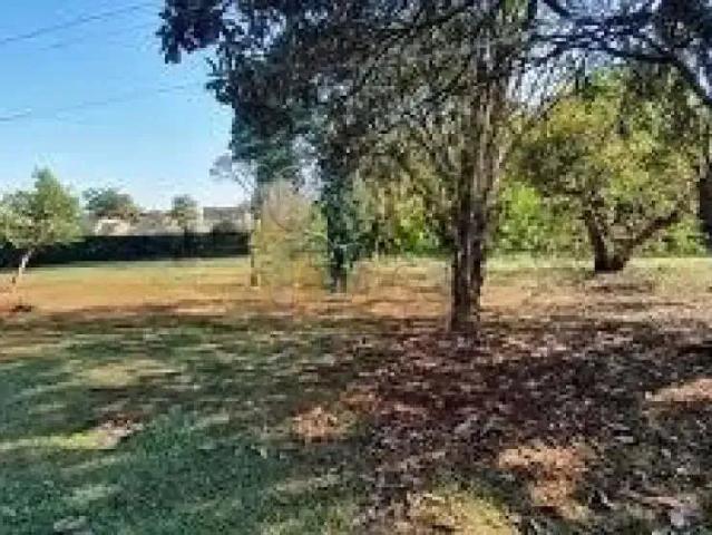 Terreno / Lote para Venda em Ribeirão Preto/SP Centro