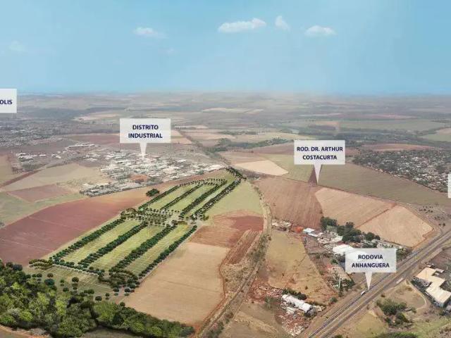 Terreno / Lote para Venda em Ribeirão Preto/SP Centro