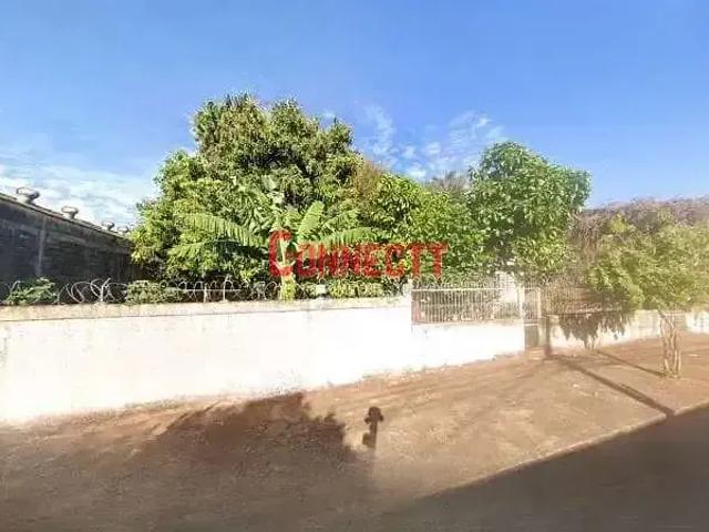 Terreno / Lote para Venda em Ribeirão Preto/SP Centro