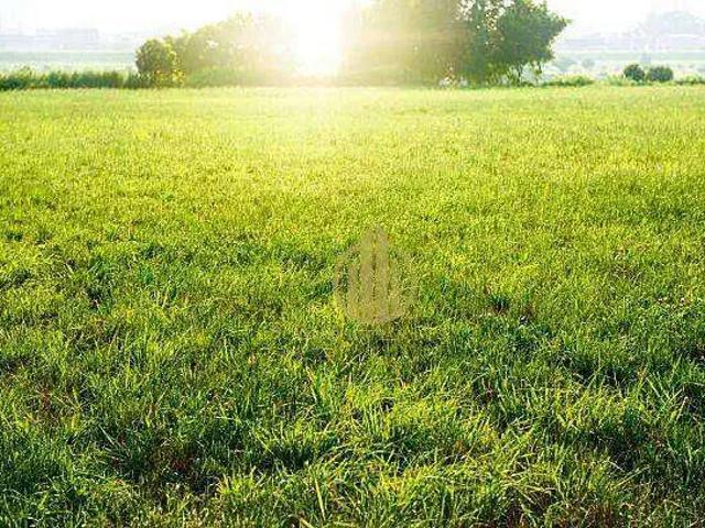 Terreno / Lote para Venda em Ribeirão Preto/SP City Ribeirão