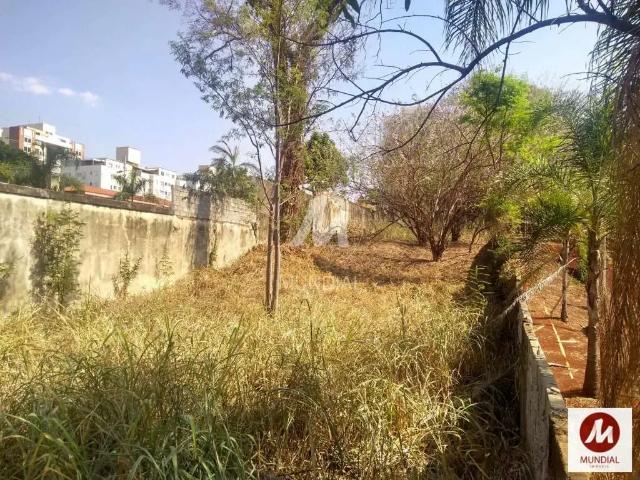 Terreno / Lote para Venda em Ribeirão Preto/SP City Ribeirão