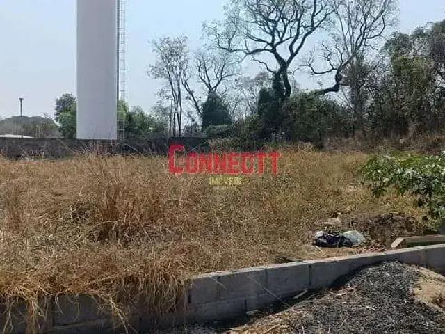 Terreno / Lote para Venda em Ribeirão Preto/SP Conjunto Habitacional Jardim das Palmeiras