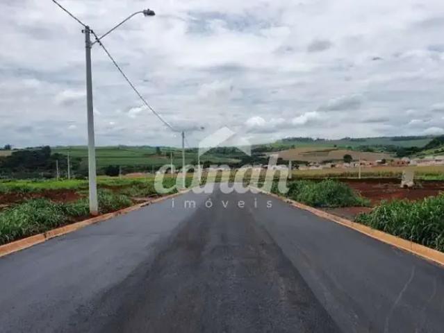 Terreno / Lote para Venda em Ribeirão Preto/SP Conjunto Residencial José Said Sobrinho