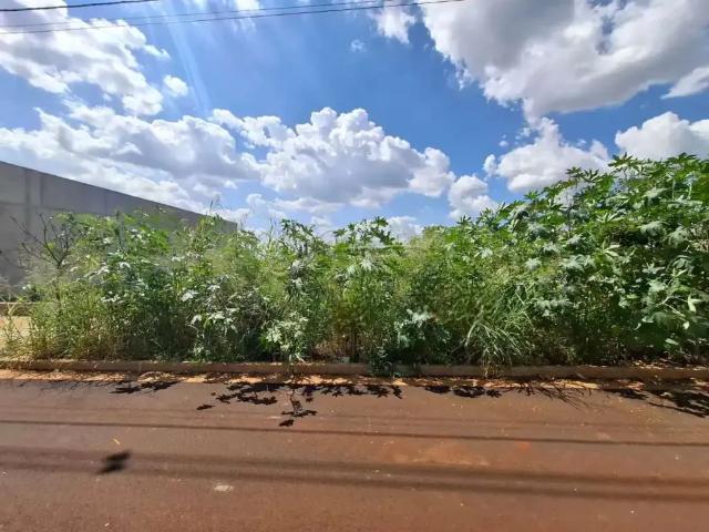 Terreno / Lote para Venda em Ribeirão Preto/SP Fazenda Santa Rita do Picadão