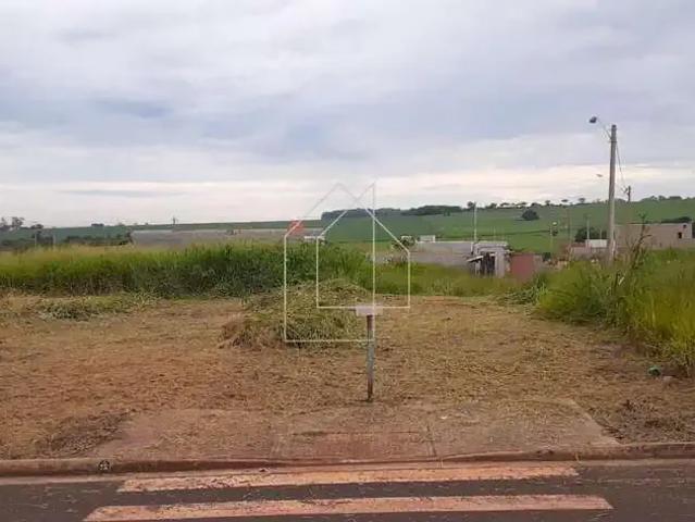 Terreno / Lote para Venda em Ribeirão Preto/SP Fazenda Santa Rita do Picadão
