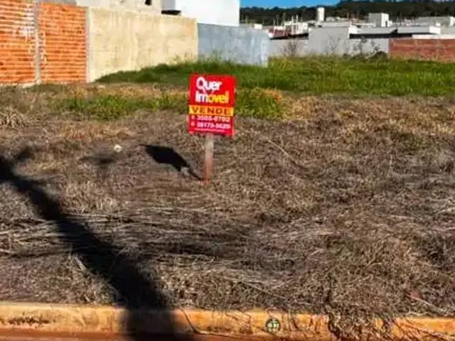 Terreno / Lote para Venda em Ribeirão Preto/SP Fazenda Santa Rita do Picadão