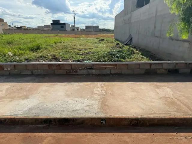 Terreno / Lote para Venda em Ribeirão Preto/SP Fazenda Santa Rita do Picadão
