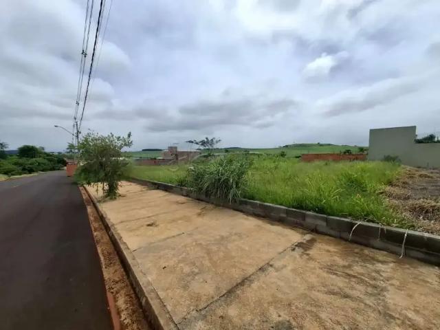 Terreno / Lote para Venda em Ribeirão Preto/SP Fazenda Santa Rita do Picadão