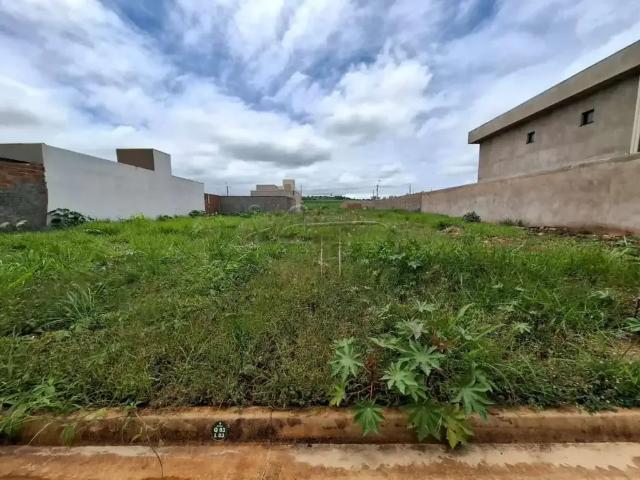 Terreno / Lote para Venda em Ribeirão Preto/SP Fazenda Santa Rita do Picadão