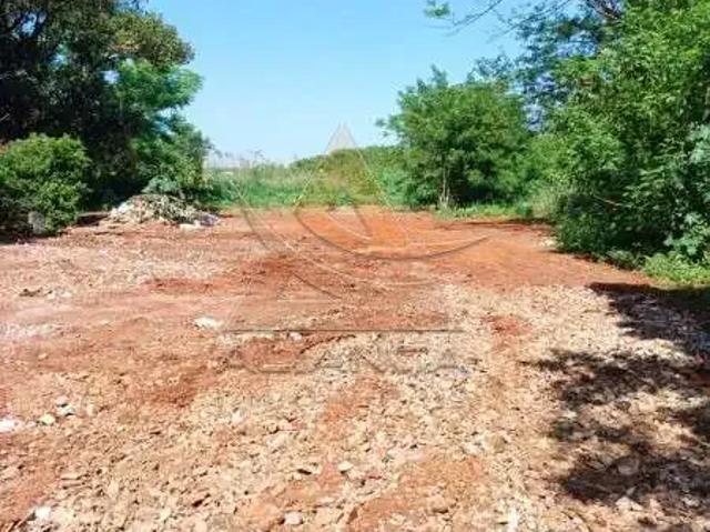 Terreno / Lote para Venda em Ribeirão Preto/SP Geraldo Correia de Carvalho