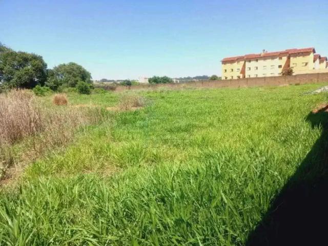 Terreno / Lote para Venda em Ribeirão Preto/SP Ipiranga