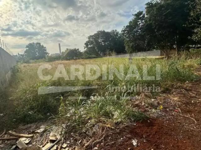 Terreno / Lote para Venda em Ribeirão Preto/SP Ipiranga