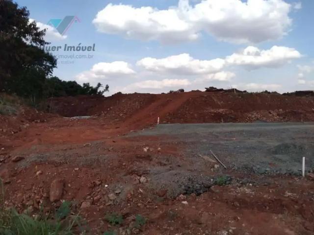 Terreno / Lote para Venda em Ribeirão Preto/SP Ipiranga