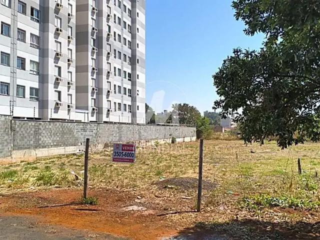Terreno / Lote para Venda em Ribeirão Preto/SP Ipiranga