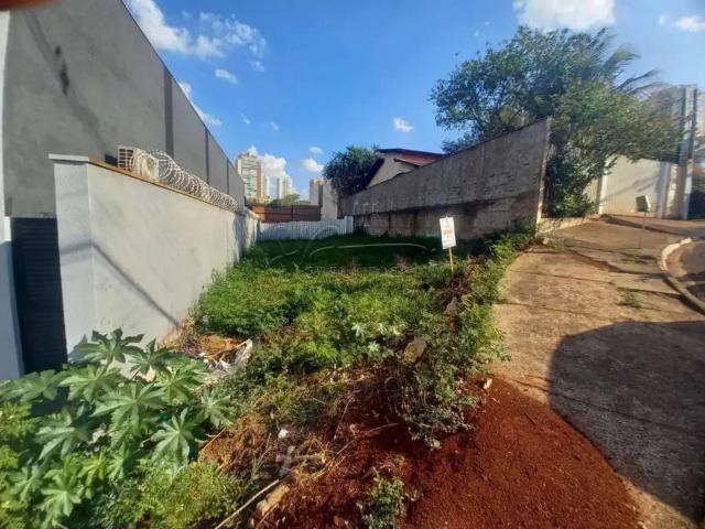 Terreno / Lote para Venda em Ribeirão Preto/SP Jardim Botânico