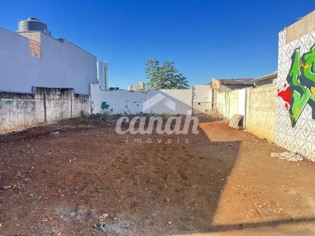 Terreno / Lote para Venda em Ribeirão Preto/SP Jardim Castelo Branco