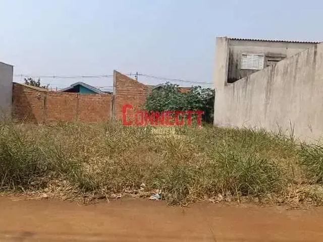 Terreno / Lote para Venda em Ribeirão Preto/SP Jardim Cristo Redentor