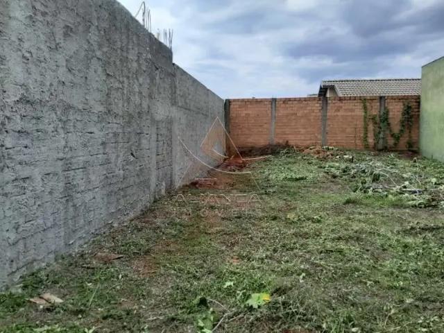 Terreno / Lote para Venda em Ribeirão Preto/SP Jardim Cristo Redentor