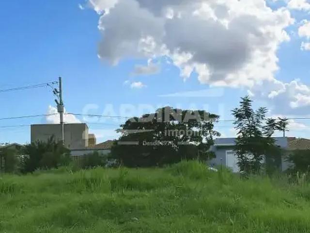 Terreno / Lote para Venda em Ribeirão Preto/SP Jardim Cristo Redentor