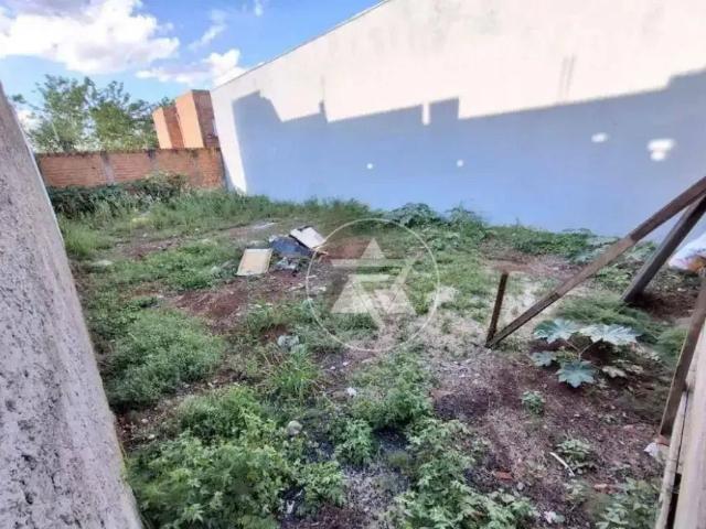 Terreno / Lote para Venda em Ribeirão Preto/SP Jardim Cristo Redentor