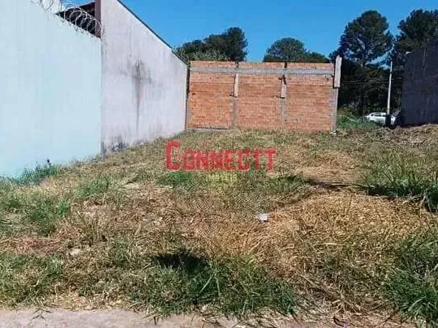 Terreno / Lote para Venda em Ribeirão Preto/SP Jardim Cristo Redentor