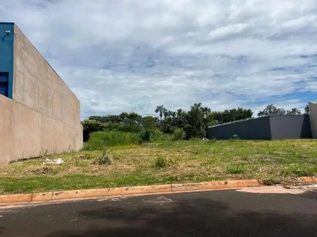 Terreno / Lote para Venda em Ribeirão Preto/SP Jardim Cristo Redentor