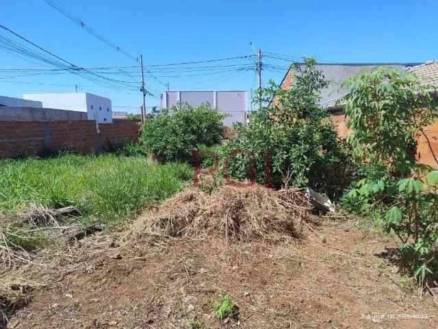 Terreno / Lote para Venda em Ribeirão Preto/SP Jardim Horizonte Verde
