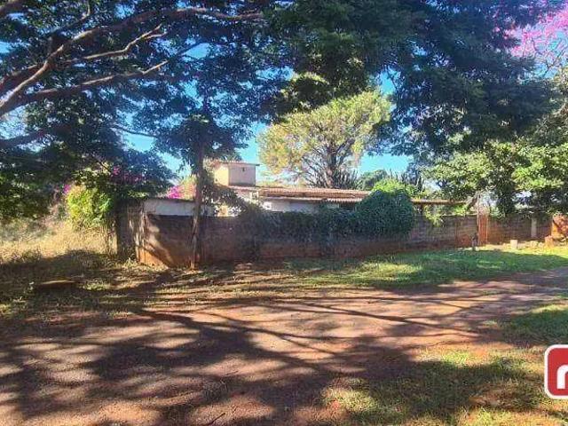 Terreno / Lote para Venda em Ribeirão Preto/SP Jardim Iara
