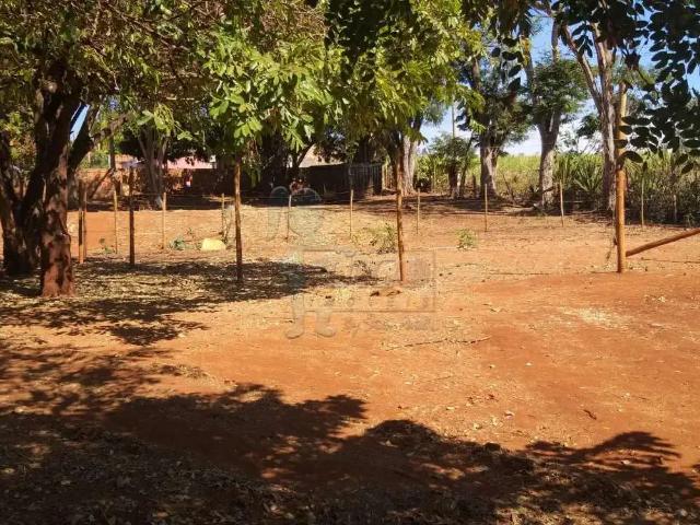 Terreno / Lote para Venda em Ribeirão Preto/SP Jardim Itaú