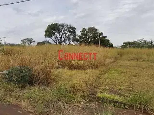 Terreno / Lote para Venda em Ribeirão Preto/SP Jardim Manoel Penna