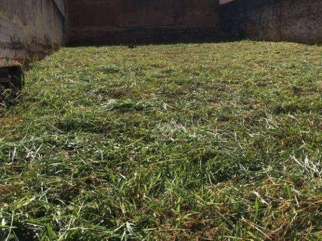 Terreno / Lote para Venda em Ribeirão Preto/SP Jardim Macedo