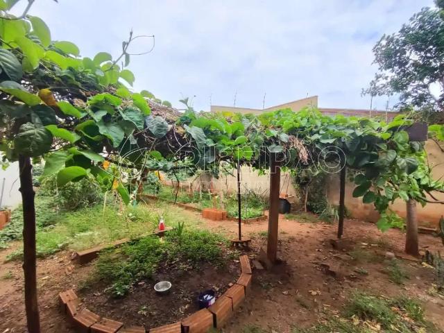 Terreno / Lote para Venda em Ribeirão Preto/SP Jardim Ouro Branco